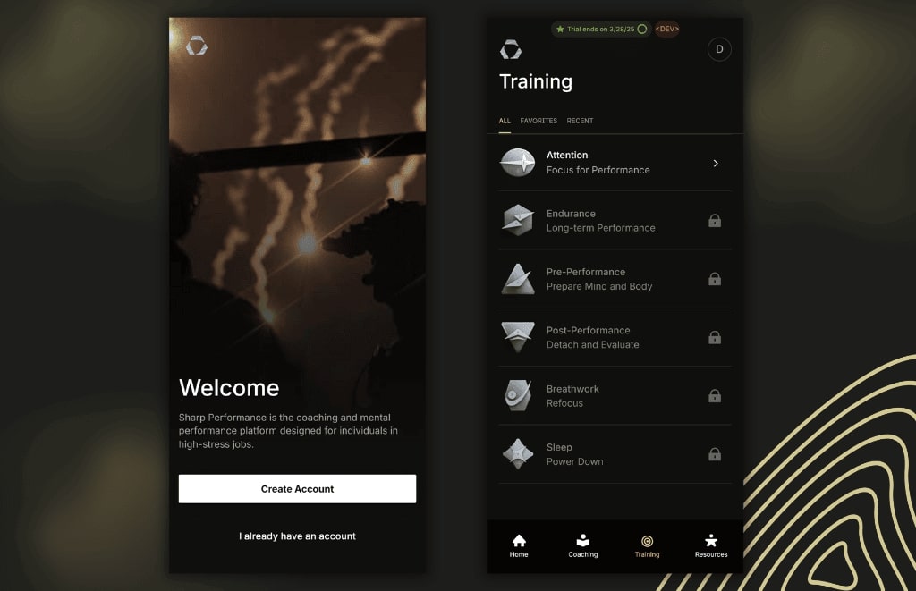 Web App Development Experts – Bubble & Custom Code | RapidDev